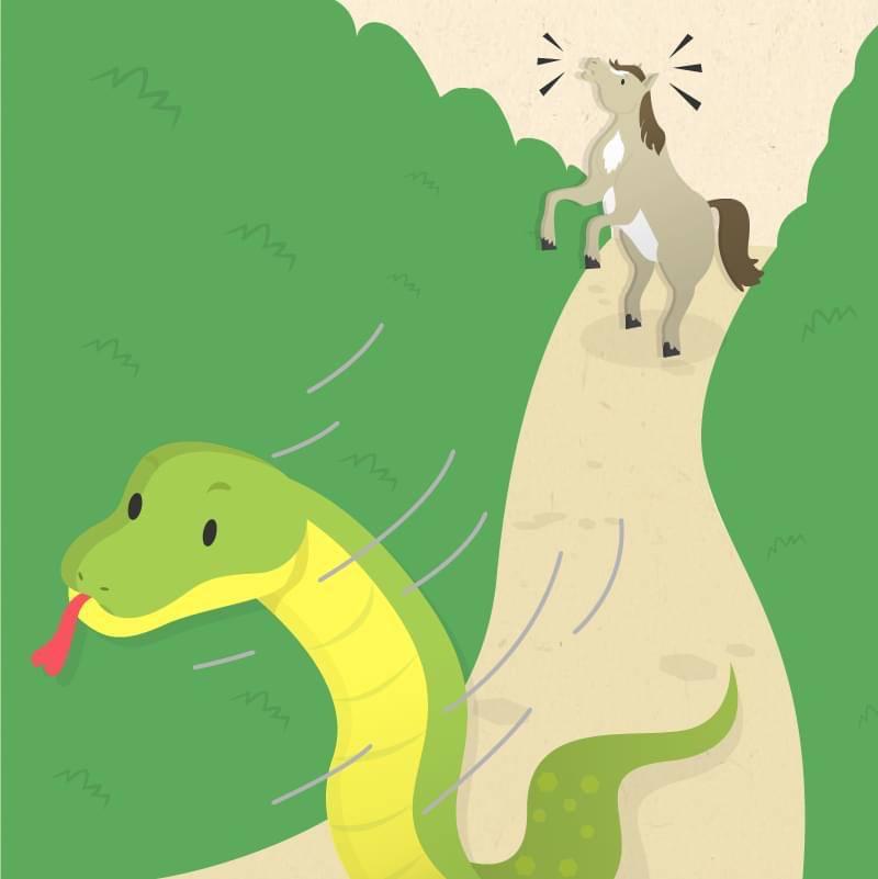 The Great Zodiac Race - Singapore Edition